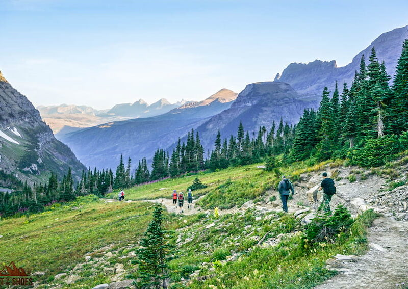 Glacier Tips - What You Need To Know Before You Go!