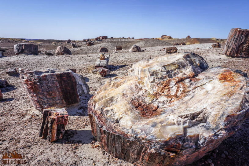 5 Fascinating Fun Facts about Petrified Forest National Park