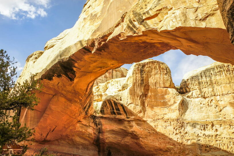 5 Fascinating Fun Facts about Capitol Reef National Park