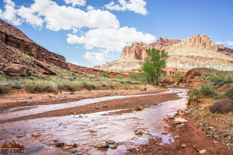 5 Fascinating Fun Facts about Capitol Reef National Park