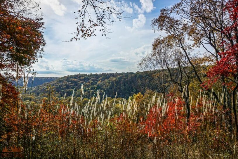 Exploring Mammoth Cave National Park: Best Tips + Activities