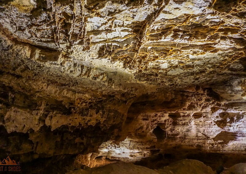 5 Fascinating Fun Facts about Wind Cave National Park